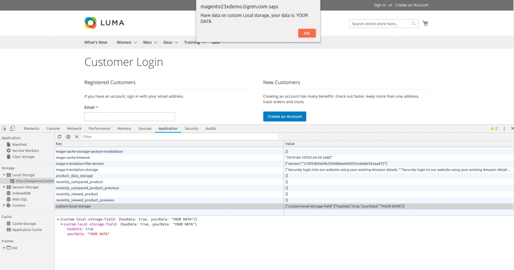 How To Use Custom Local Storage And Cookie Storage In Magento 2