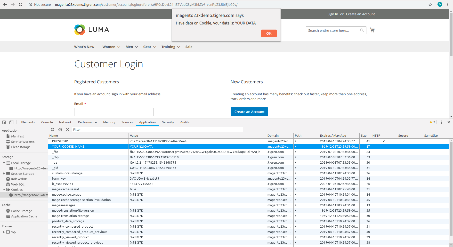 How To Use Custom Local Storage And Cookie Storage In Magento 2